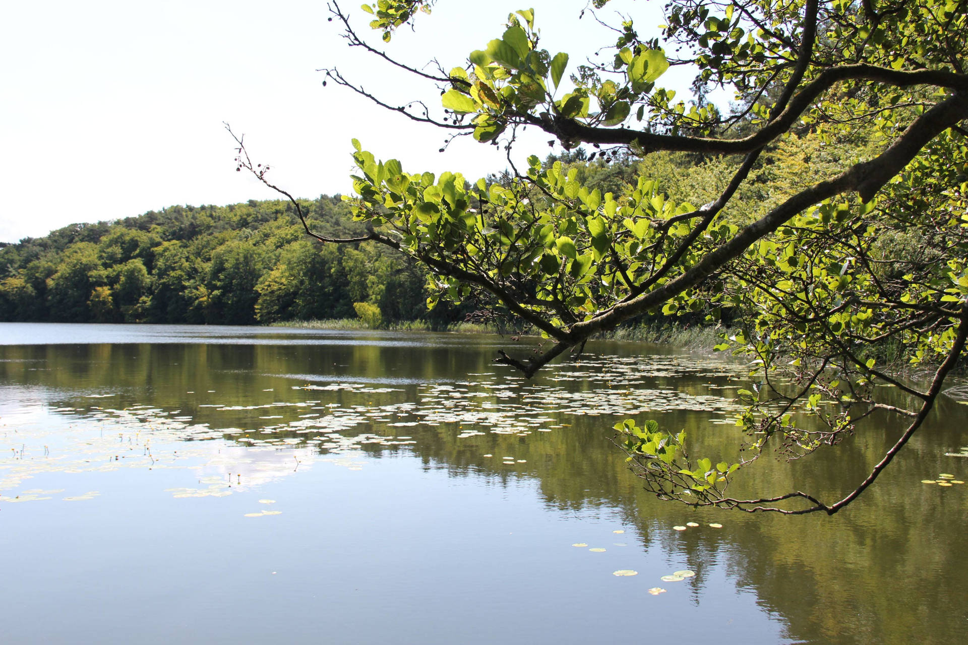Jezioro Gardno – Dom nad morzem w Dębinie